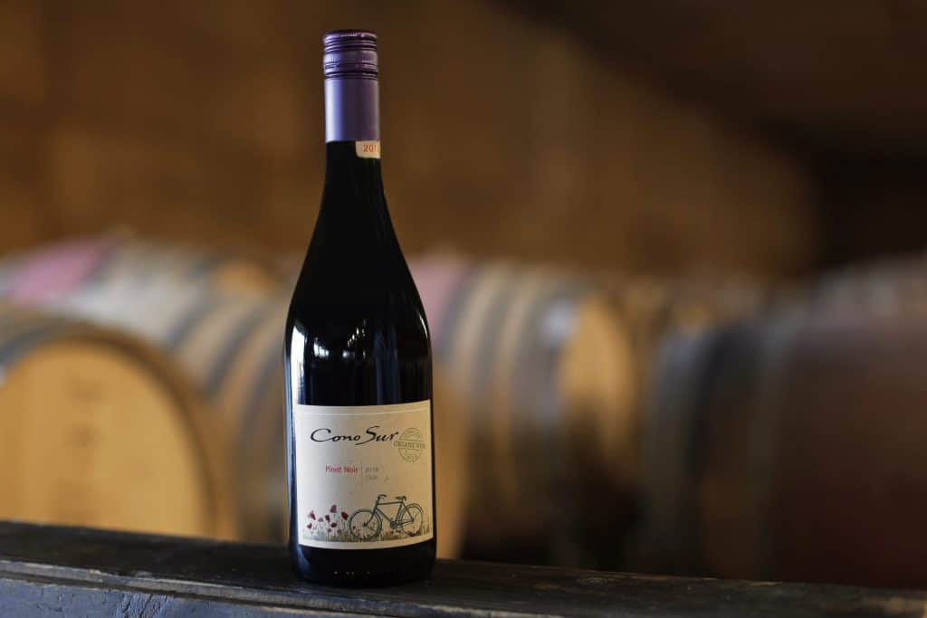 5 of the Best Sustainable Wines for the Eco-Oenophile - LeafScore