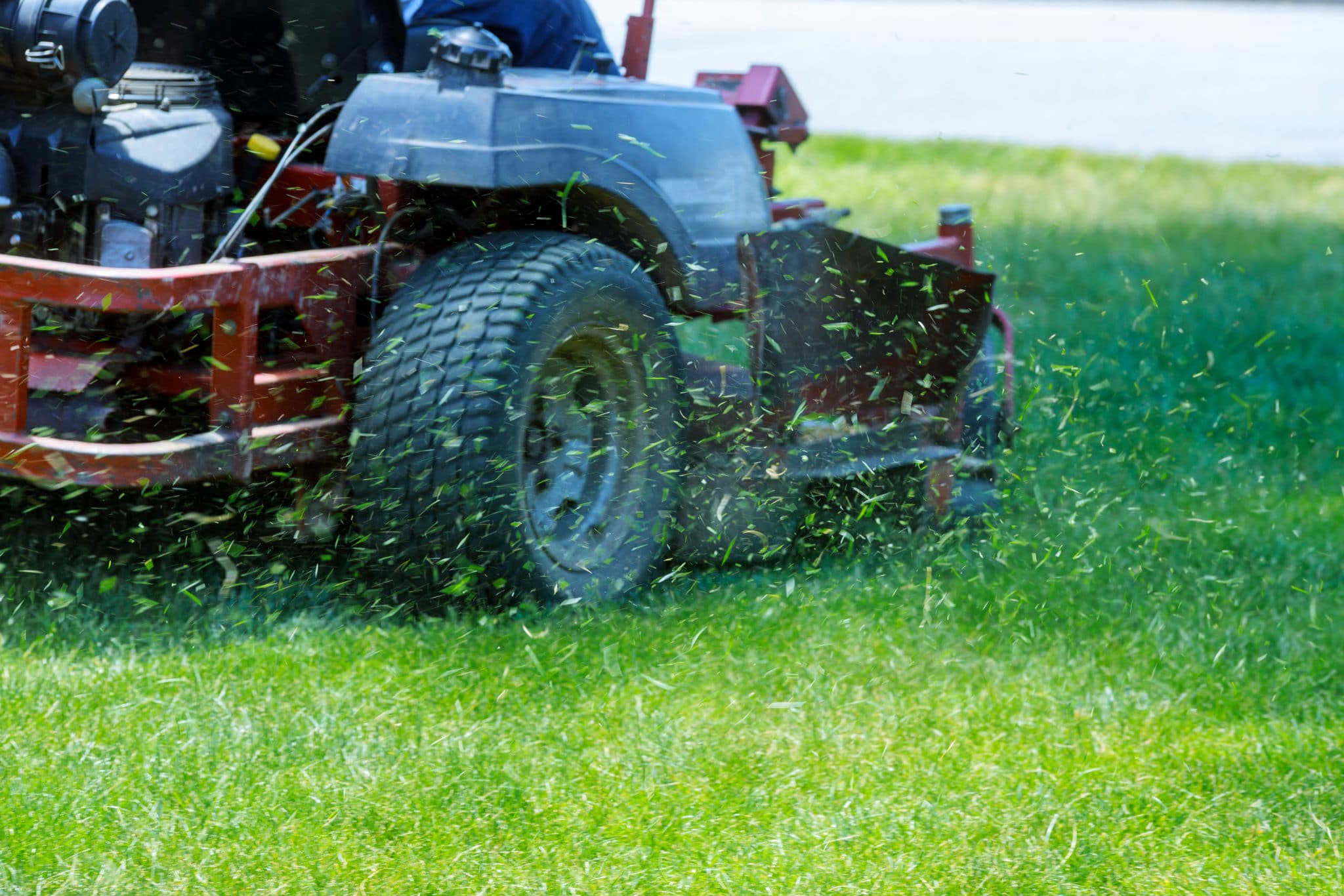The 5 Best Electric Lawn Mowers - LeafScore