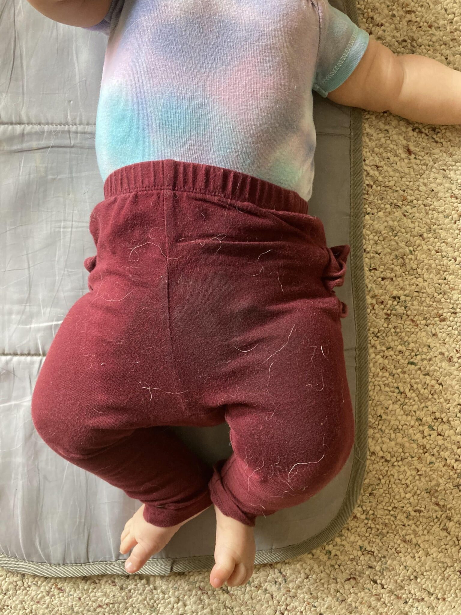 The Best Cloth Diapers of 2023: A Mom's Guide - LeafScore
