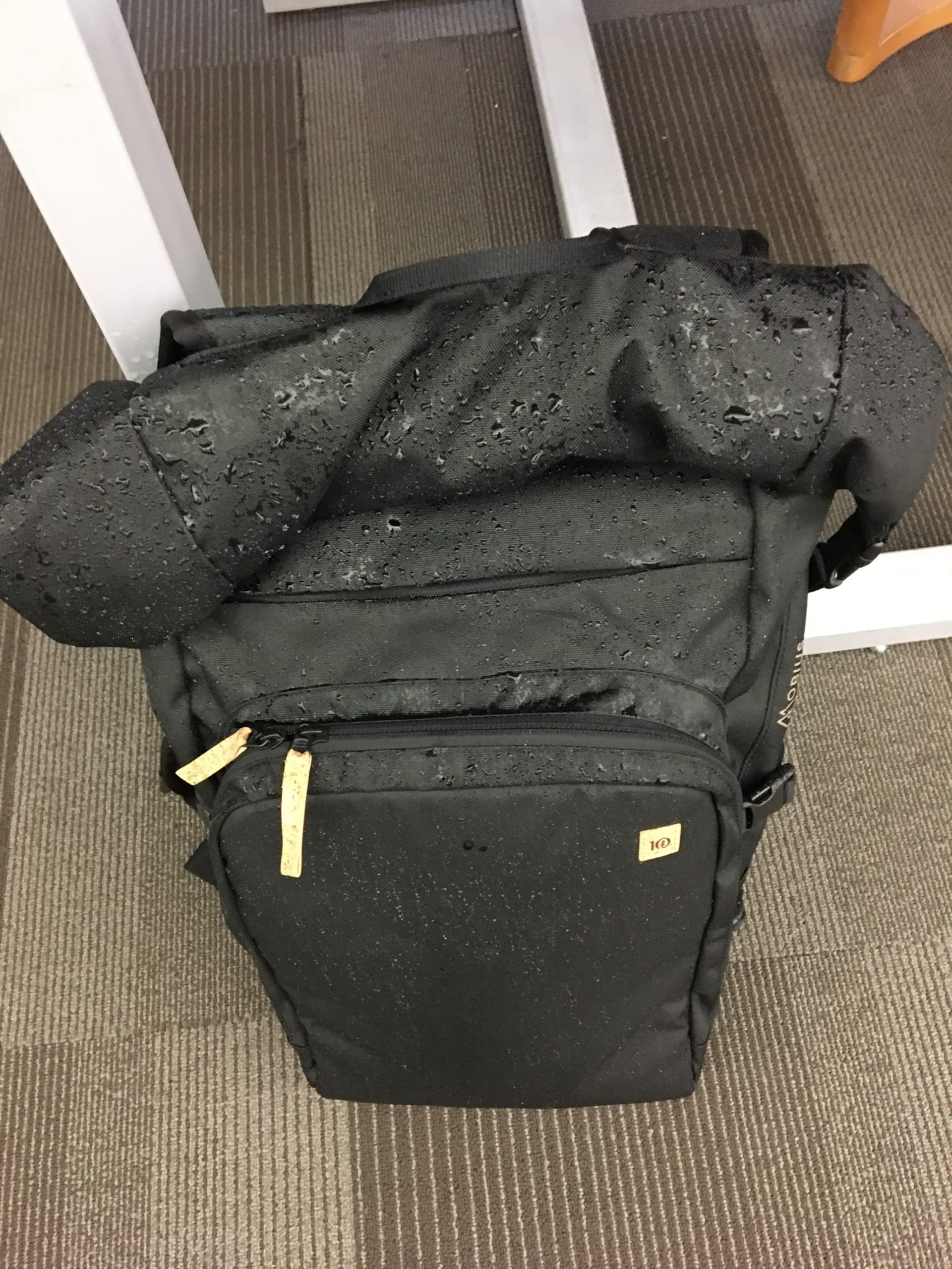 Review: tentree Mobius Backpack [Staff Tested] - LeafScore