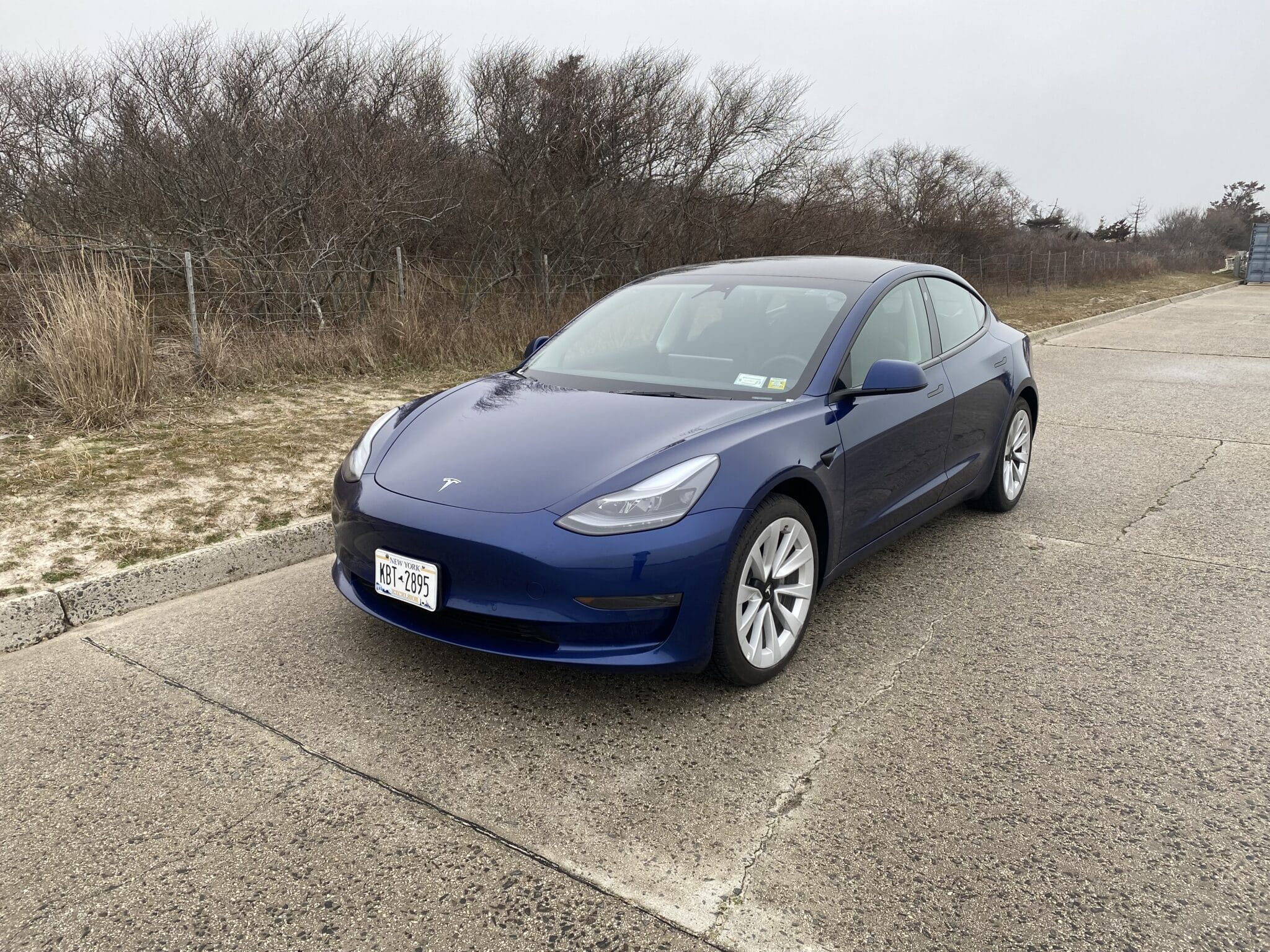 Tesla Vegan Leather Interiors: What You Need to Know - LeafScore