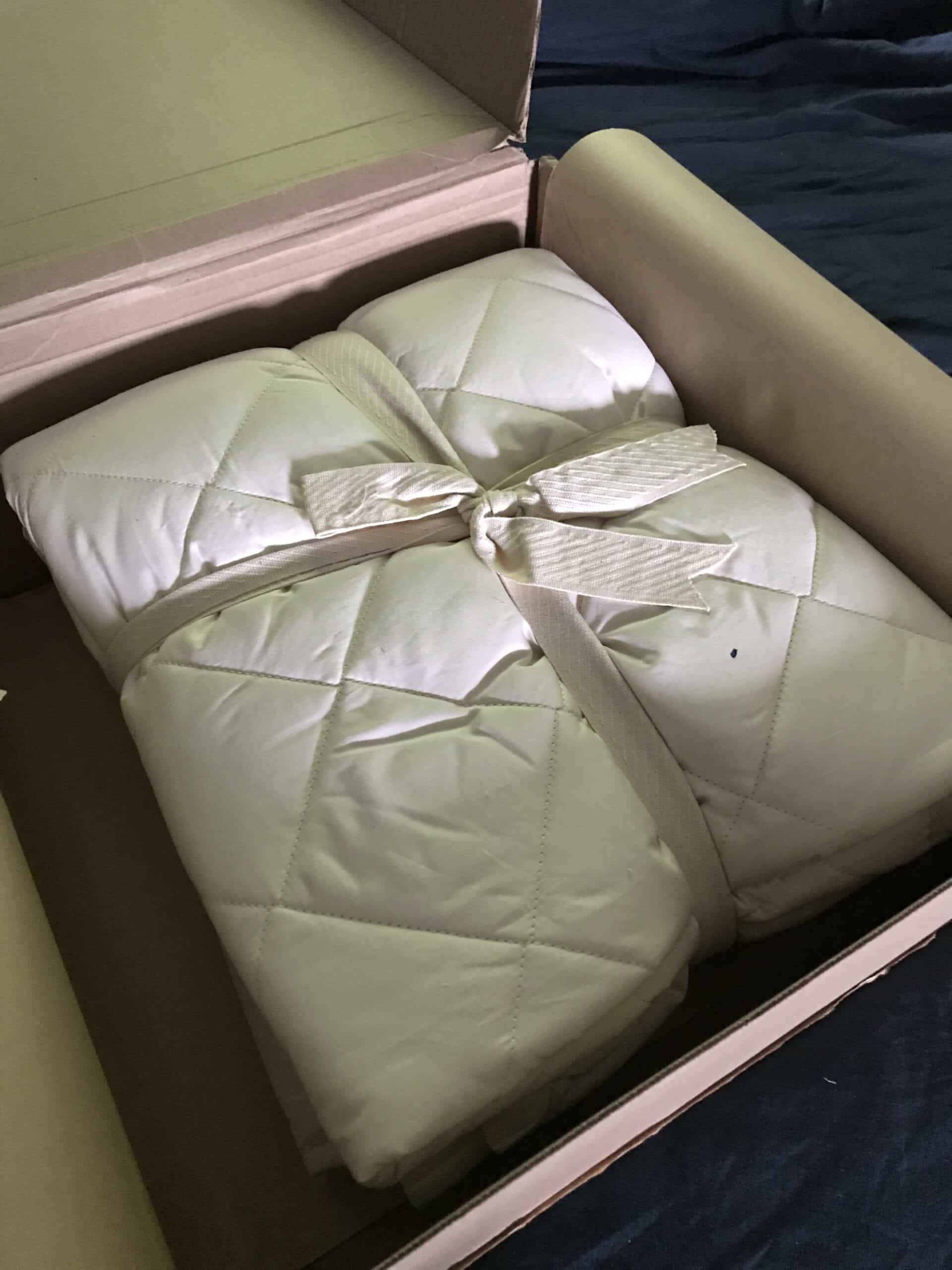 Avocado Organic Mattress Cover and Pad Protector Review - LeafScore