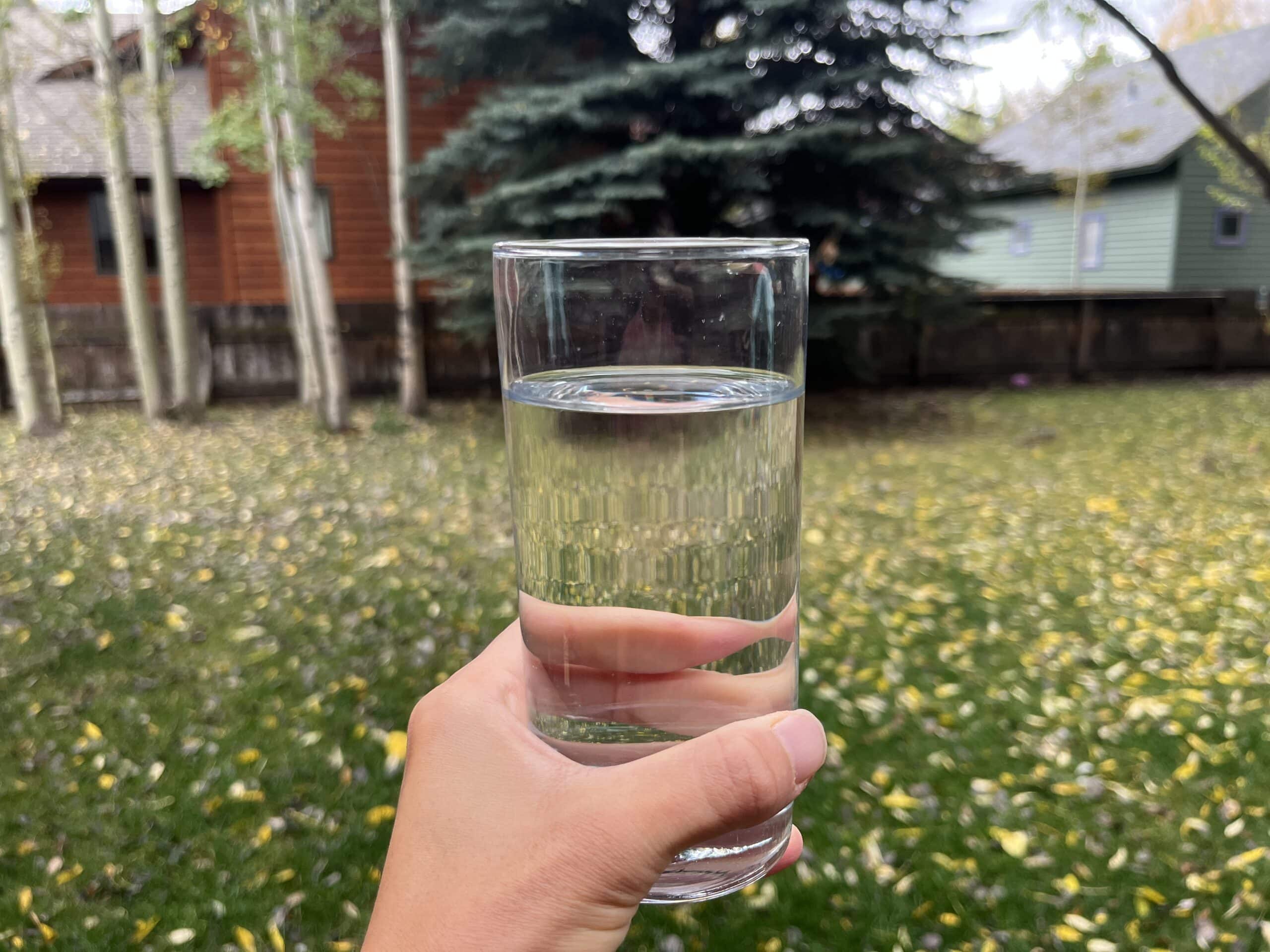 How PFAS Contamination Affects Drinking Water Quality - LeafScore