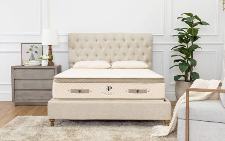 The 6 Best Organic & Non-Toxic Mattresses: No VOCs Ever