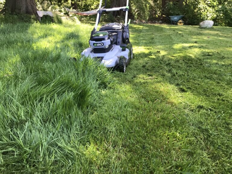 Ego Lawn Mower Review: Breaking Down Real Life Pros and Cons